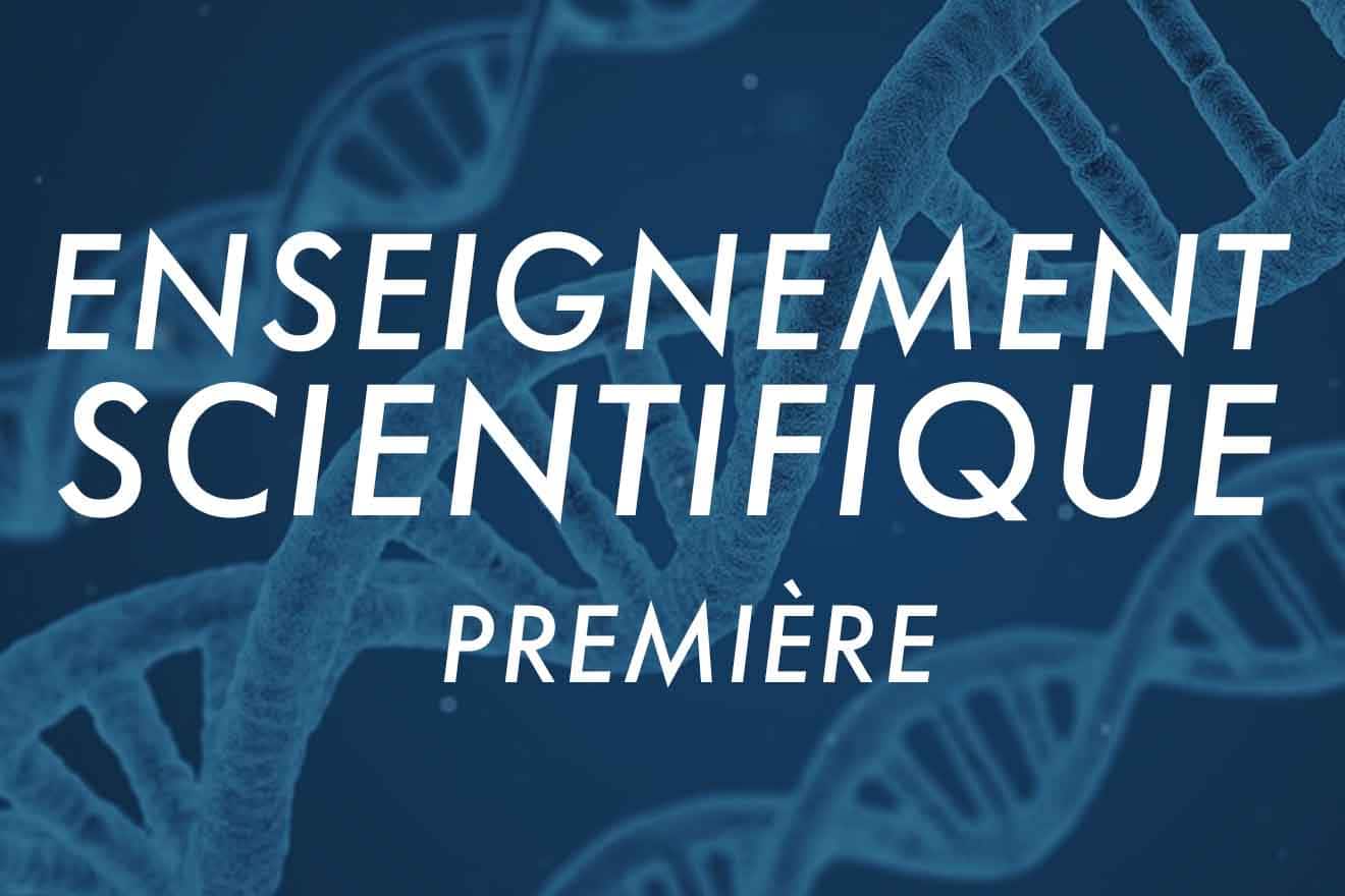 Programme de Première: Maths, Physique-Chimie, Français, Anglais