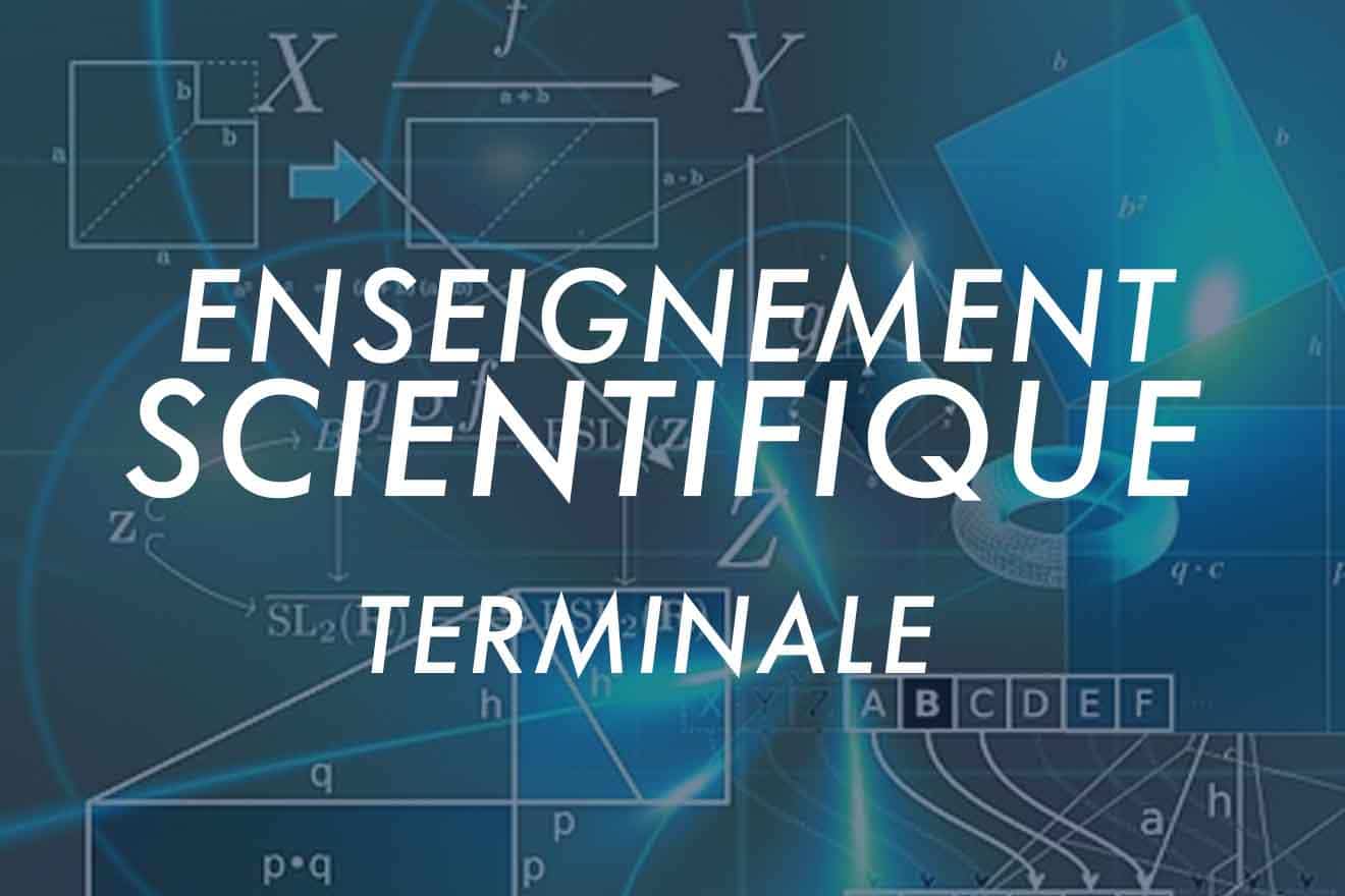 Programme Terminale : maths, physique-chimie, SES, philo, SVT