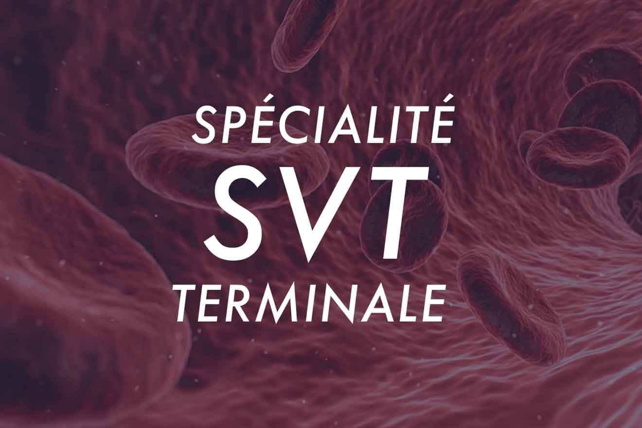 Programme Terminale : maths, physique-chimie, SES, philo, SVT