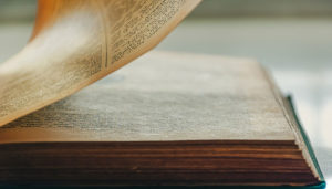 Tout savoir sur le roman au bac de français