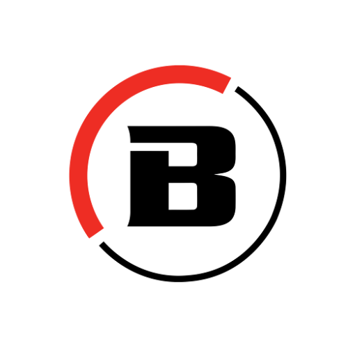 Les différentes organisations de MMA : UFC, ONE, BELLATOR